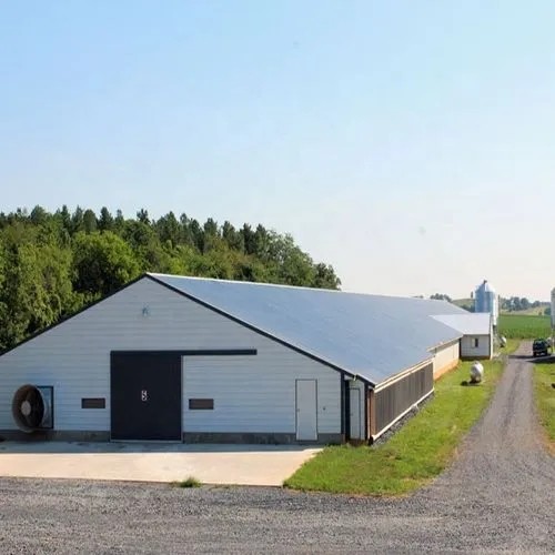 Quality Prefabricated Steel Structure Poultry House Q355 Custom Sizes for sale