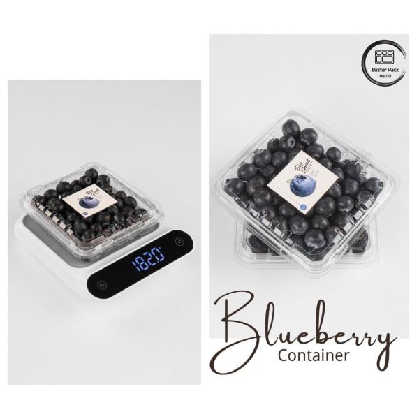 Quality 125g RPET Blueberry Clamshell Containers Transparent Fruit Packaging Boxes for sale
