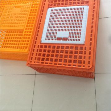 Quality Pure PE Poultry Carrier Crate Chicken Transport Cage Customized for sale