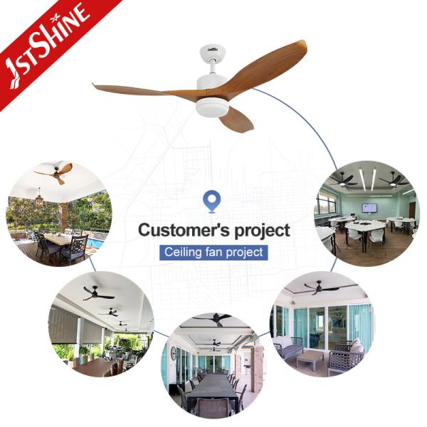 Quality Outdoor Waterproof IP65 ABS Plastic Ceiling Fan with 52 Inches Blades and Remote for sale