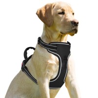 Quality Outdoor Pet Dog Harness Leash Adjustable Reflective Vest With D Ring Buckle for sale