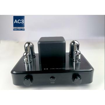 Quality USB SD APE WAV 2 Channel Mini Tube Amplifier for sale