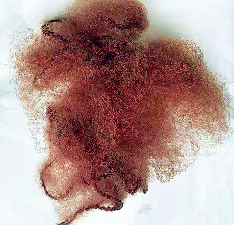 Quality Brown Nylon Invisible Hairnets 14" Disposable Hair Nets Mesh for sale