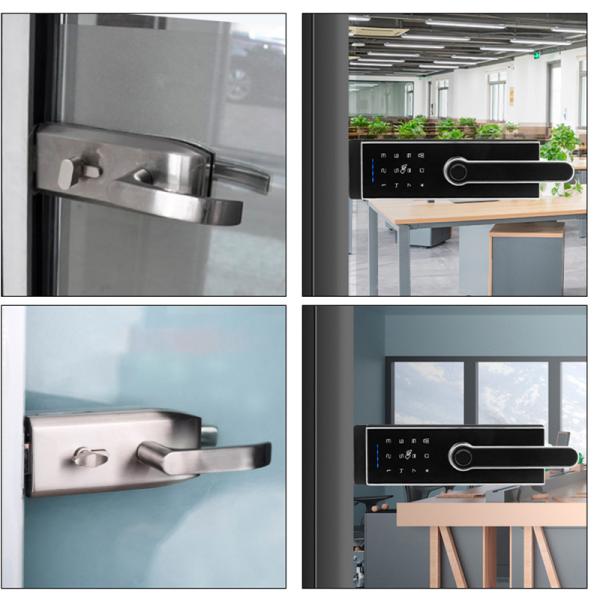 Quality High Compartment Partition Door Fingerprint Lock Password Lock IC Card Key Glass for sale