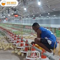 Quality Floor Type Broiler Equipment for sale