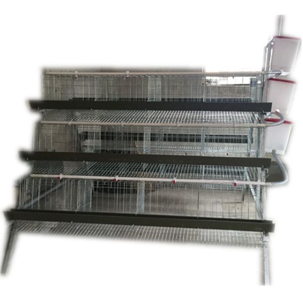 Chicken / Broiler Cage Factory Layer Cage , Farm Chicken Breeding Cages ...