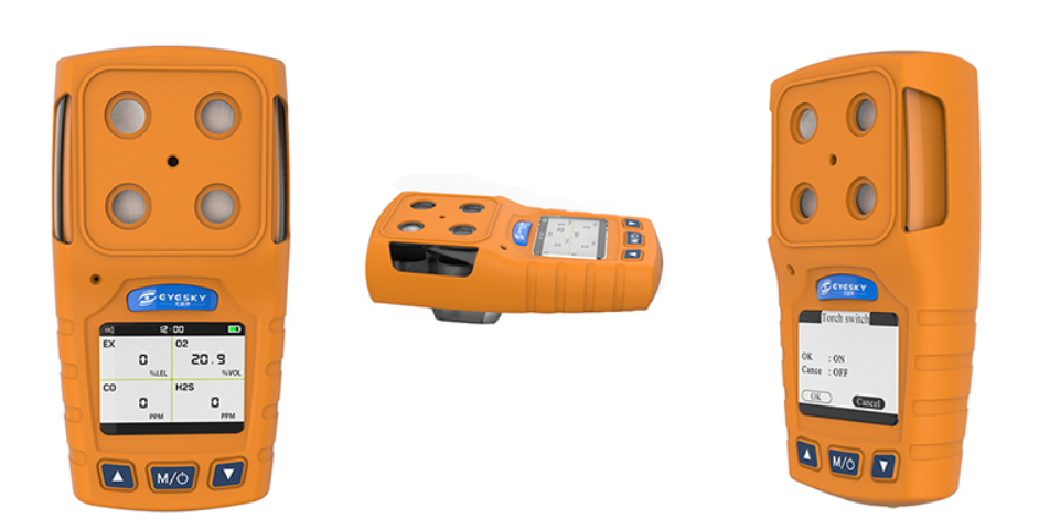 Portable multi gas detector