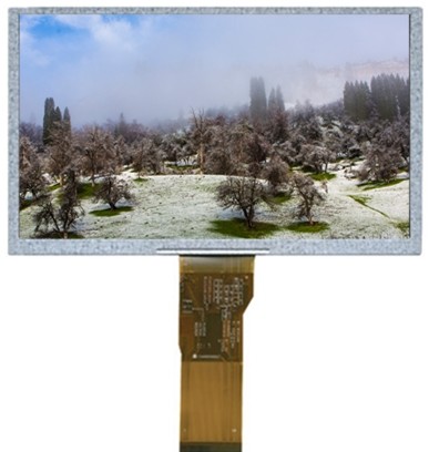 Quality MIPI DSI TFT LCD Touch Screen 6 Inch 720x1440 IPS Industrial for sale