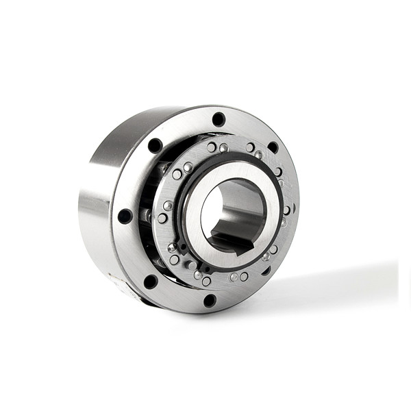 Quality RSCI Sprag Freewheel One Way Pump Overrunning Clutch Bearing for sale