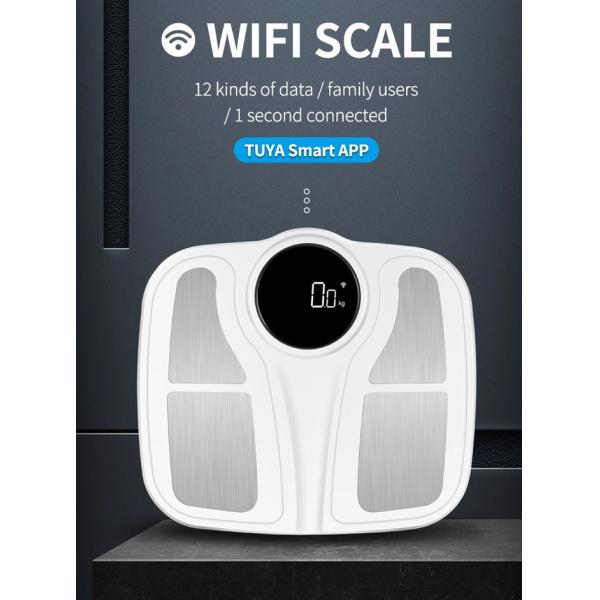 Quality WiFi Connected Max 396LB Body Weight Analyzer Scale for sale