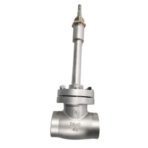 Quality Casting Stainless Steel DN25 PN50 Cryogenic Handwheel Globe Valve for sale