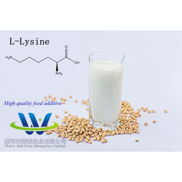 Quality 98.5% L-Lysine Feed Additives Customized Request Accepted with CCC Certification for sale