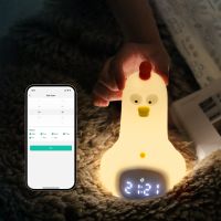 Quality Kid Smart Wake Trainer Bedside Nite Light White Noise Alarm Clock Radio for sale