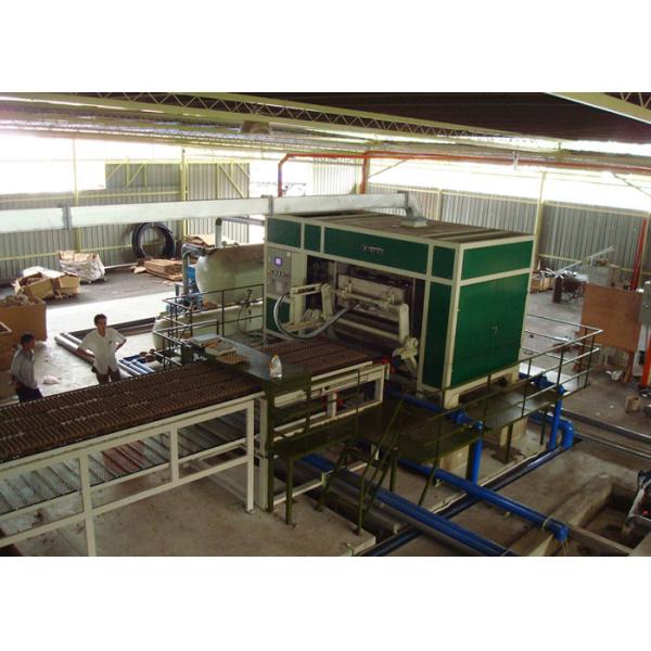 Quality Full Auto Rotary Egg Tray Machine 3000pcs per hour / Energy Recycling Egg Carton for sale