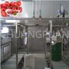 china PLC Control Tomato Sauce Plant Machinery With 415V Voltage