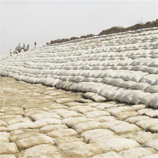 Quality Water Conservancy Geotextile Geobag Polypropylene Fabric Ecological for sale