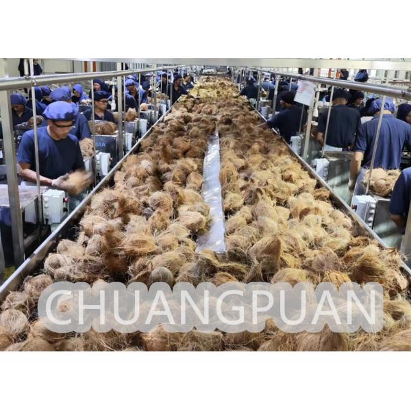 Quality Coconut Processing Machine|Turn Key Customize 1-20T/h Coconut Water Production for sale