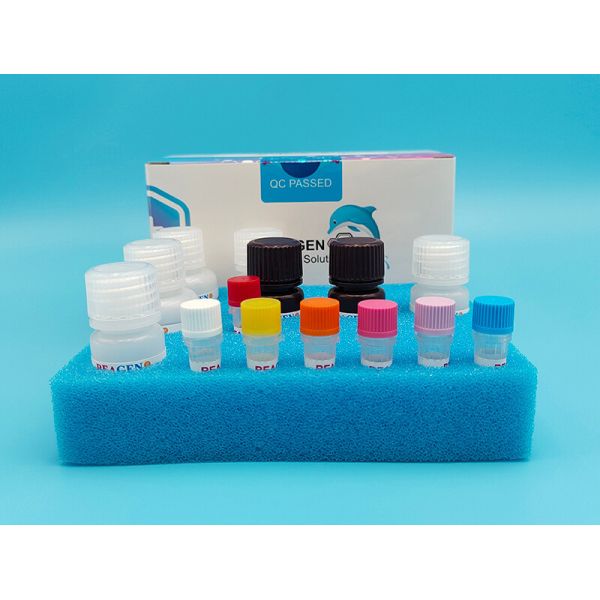 Quality Sensitive Aflatoxin M1 ELISA Test Kit for 0-50ppm Screening at 2-8C and Accurate for sale