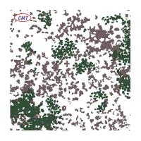 Quality Medium Weight 500D Nylon Camouflage Fabric for Garment and Tent Yarn Count 1050D for sale