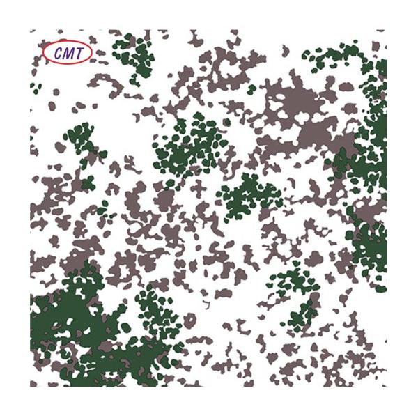 Quality Medium Weight 500D Nylon Camouflage Fabric for Garment and Tent Yarn Count 1050D for sale