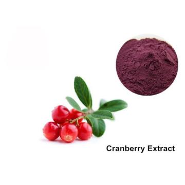 Quality Cranberry Fruit Purple Red 25% Anthocyanin Extract Powder for sale