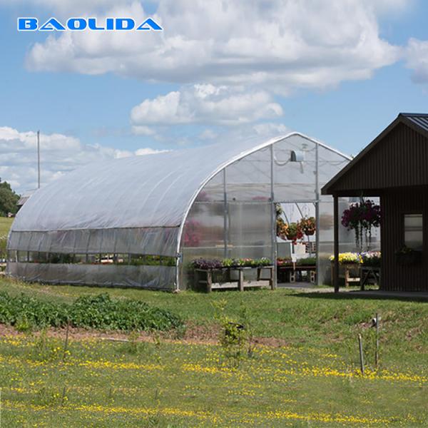 Quality High Hoop Tunnel Polyethylene Film Greenhouse For Agriculture for sale