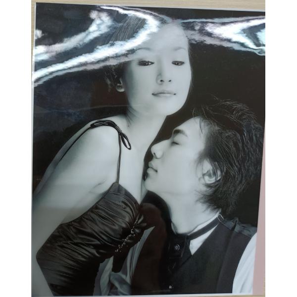 Quality Photo Photography PET Thermal Lamination Film Crystal And High Transparency for sale