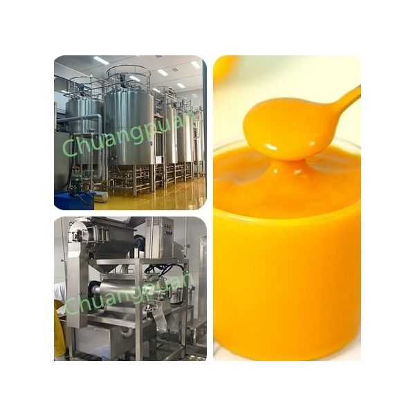 Quality 20KW Mango Processing Machine Stainless Steel 380V 410V for sale