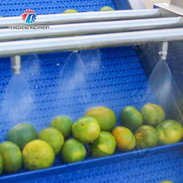 Quality Citrus cleaning production line Fruit Orange Wash Washer Washing Cleaning Dryer for sale
