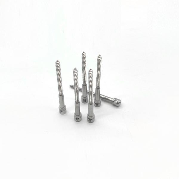 Quality Stainless Steel Lead Seal Screw for sale