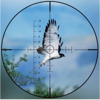 Quality 10-40x50E Hunting Riflescope Ir With Side Wheel Parallax Optical Viewfinder for sale