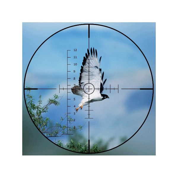 Quality 10-40x50E Hunting Riflescope Ir With Side Wheel Parallax Optical Viewfinder for sale