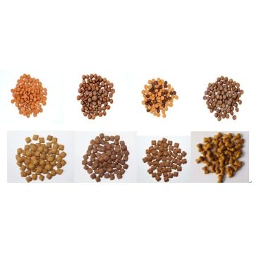Quality CE Certification Pet Food Extruder Machine To Make dog cat pet Food With Low for sale