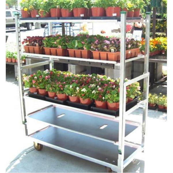 Quality Heavy Duty Dutch Trolley Shelves for sale