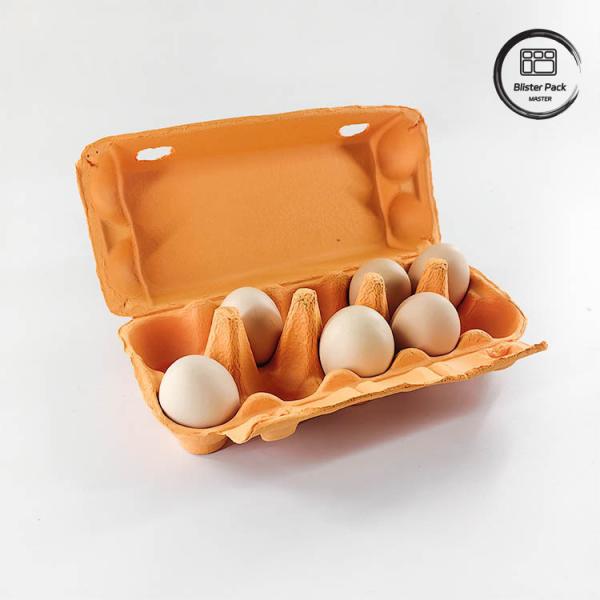 Quality Custom Eco Quail Egg Packaging 12 6 4 Paper Pulp Box Egg Cartons For Chicken for sale