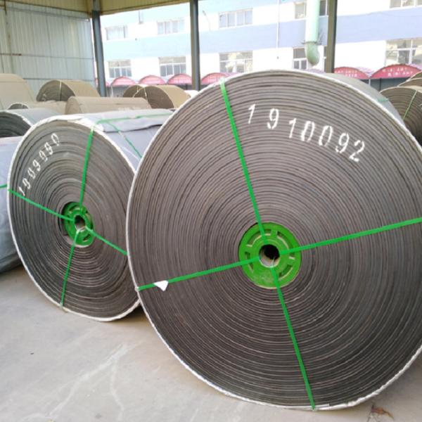 Quality EP150 Paper Mills Chemical Resistant Conveyor Belt 700mm Width for sale