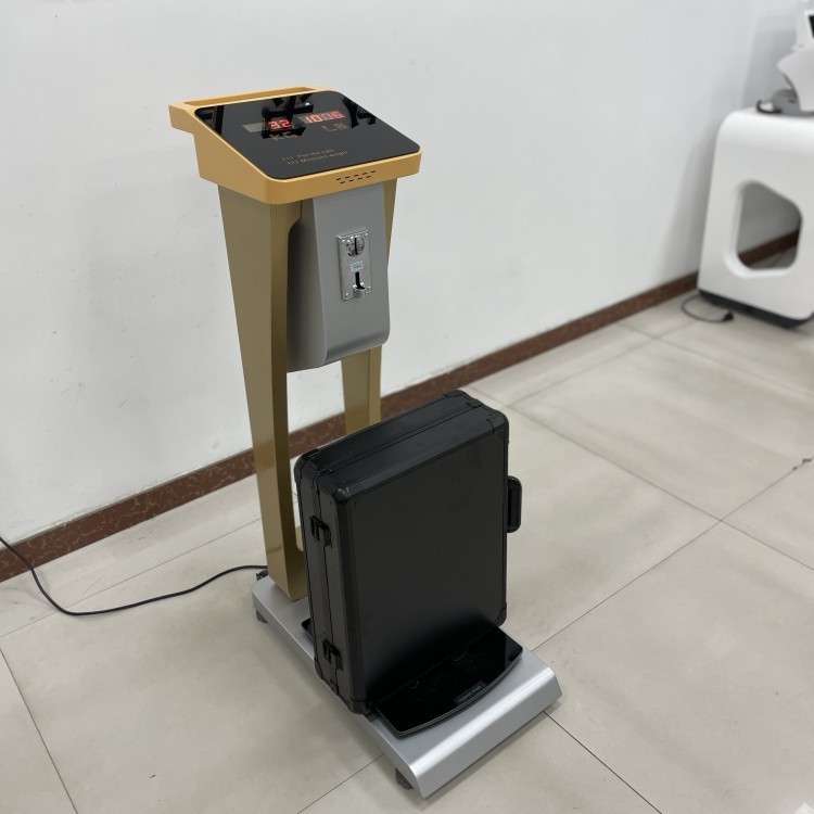 Quality User-Friendly 0.1kg Division Coin Operated Baggage Weighing Scale for Hotel for sale