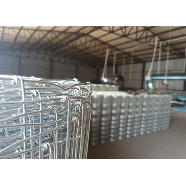 Quality Hot Dipped Galvanized Heavy Duty Field Fence 8 Foot Field Fence Types for sale