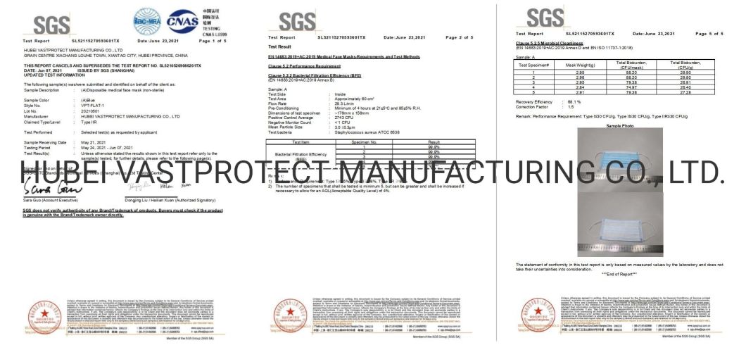 White List Factory CE Type I Type II Type Iir 3 Ply Earloop Nonwoven PP Medical Protective Disposable Surgical Face Mask