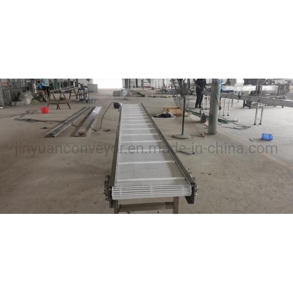 Quality Manufacturer Plastic Mesh Belt Conveyor for Washing Food for sale
