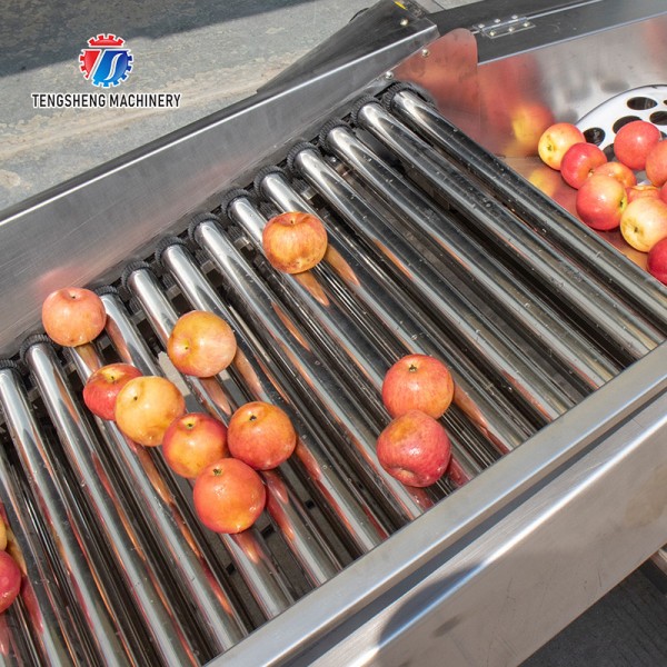 Quality Connected Pipeline Jujube Fruit Sorting Machine Multifunctional for sale