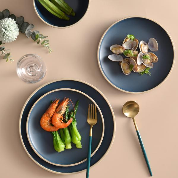 Quality 12 Piece Nautical Plastic Melamine Dinnerware Sets Modern Style Non Breakable for sale