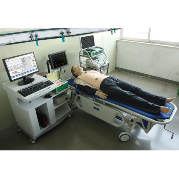 Quality Comprehensive Adult First Aid Manikins with CPR for School Training , Teaching for sale