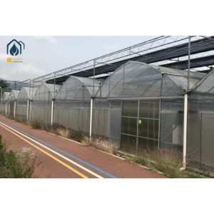 Quality Agricultural Multi Span Strawberry Green House Plastic Shed Tomato Tunnel for sale