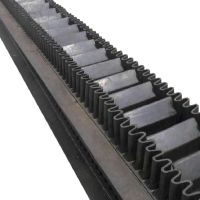 Quality 2-10 Layers S80 S100 S120 S160 Apron Conveyor Belt for sale