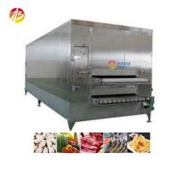 Quality IQF Tunnel Freezer for sale