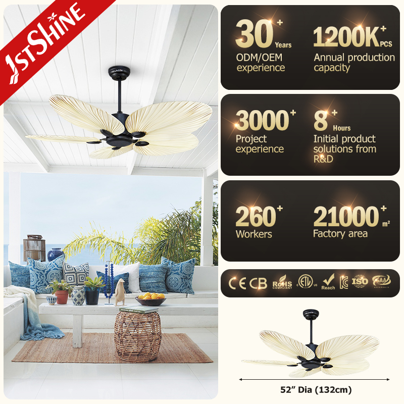ceiling fan