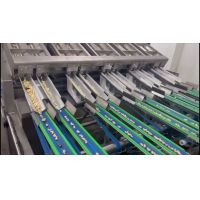 Quality AI Powered Cashew Sorting Machine Deep Learning Technology with 12 Lanes+12 Outlets , 1000kgs/H,360° Rotating Scanning for sale