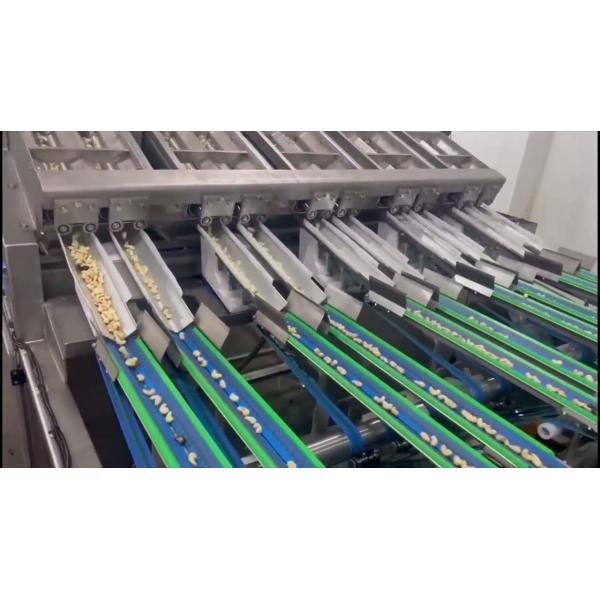 Quality AI Powered Cashew Sorting Machine Deep Learning Technology with 12 Lanes+12 for sale