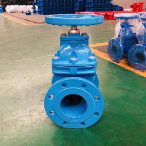 Quality DI Gate Valve for sale
